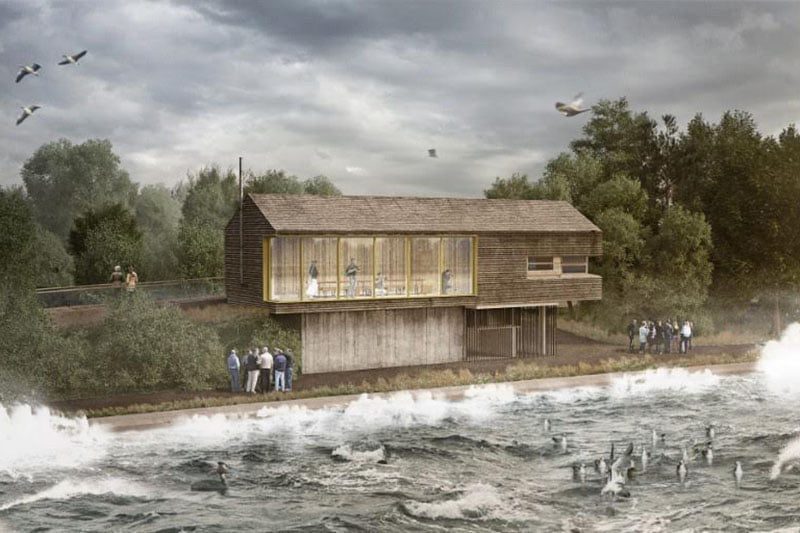 New wildlife viewing centre set to be a soaring success - The Wolds ...