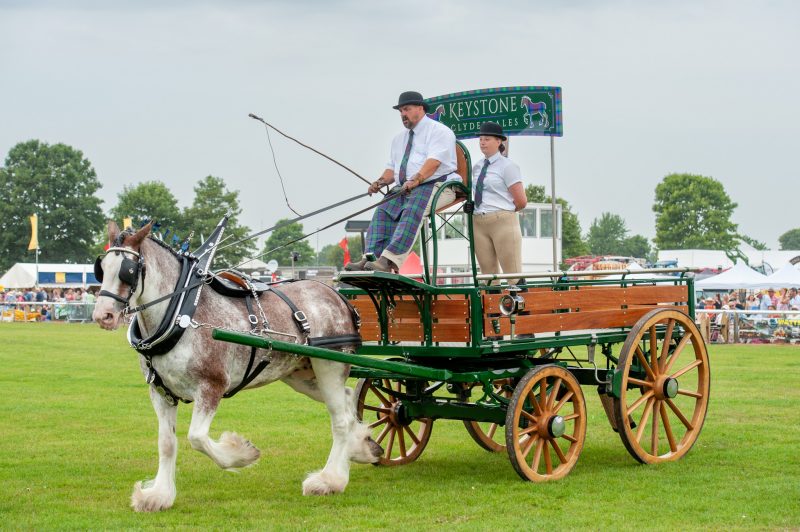 DRIFFIELD SHOW 2022: 100 photos from the biggest event of the year ...