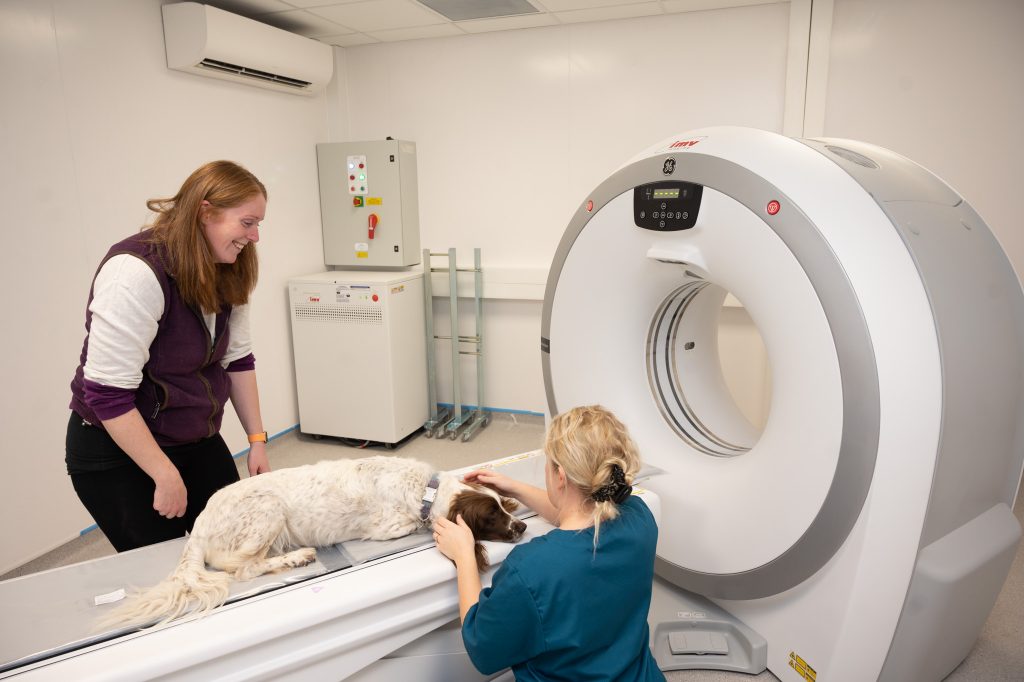 Take a look inside Aldgate’s new hospital for small animals - The Wolds ...