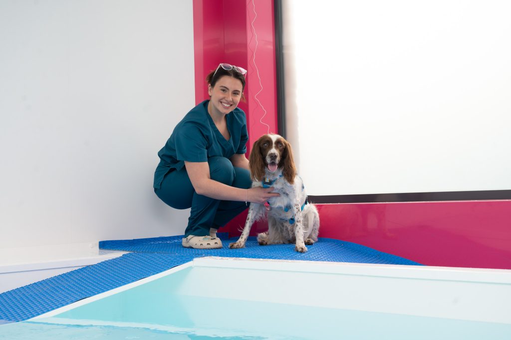 Take a look inside Aldgate’s new hospital for small animals - The Wolds ...