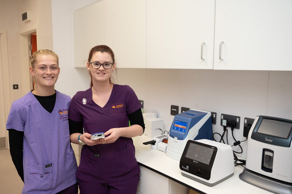 Take a look inside Aldgate’s new hospital for small animals - The Wolds ...