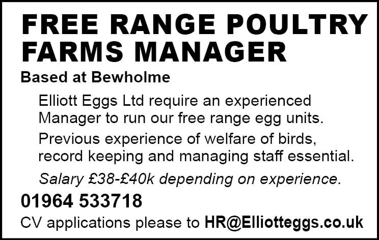 Local job vacancies - The Wolds Weekly Newspaper