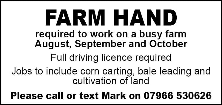 Local job vacancies - The Wolds Weekly Newspaper