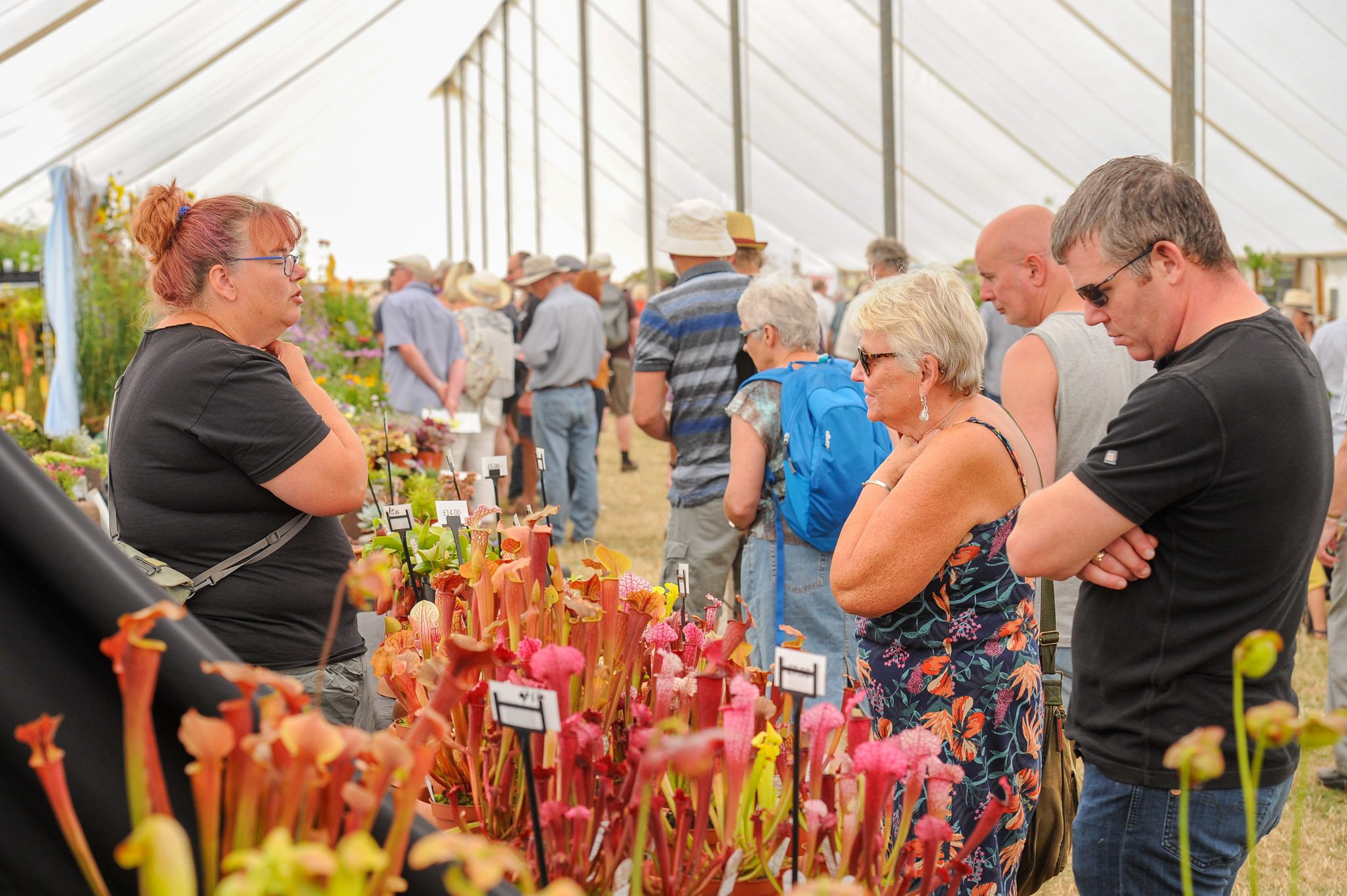 Excitement Builds for Driffield Show 2024: Timings and everything you ...