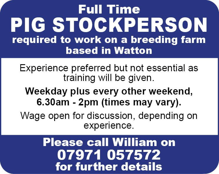 Local job vacancies - The Wolds Weekly Newspaper